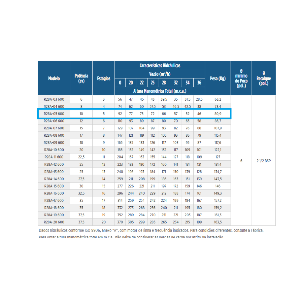 Motobomba Submersa Leão 6" R28A-05 600 10 Cv Monofásico 220V